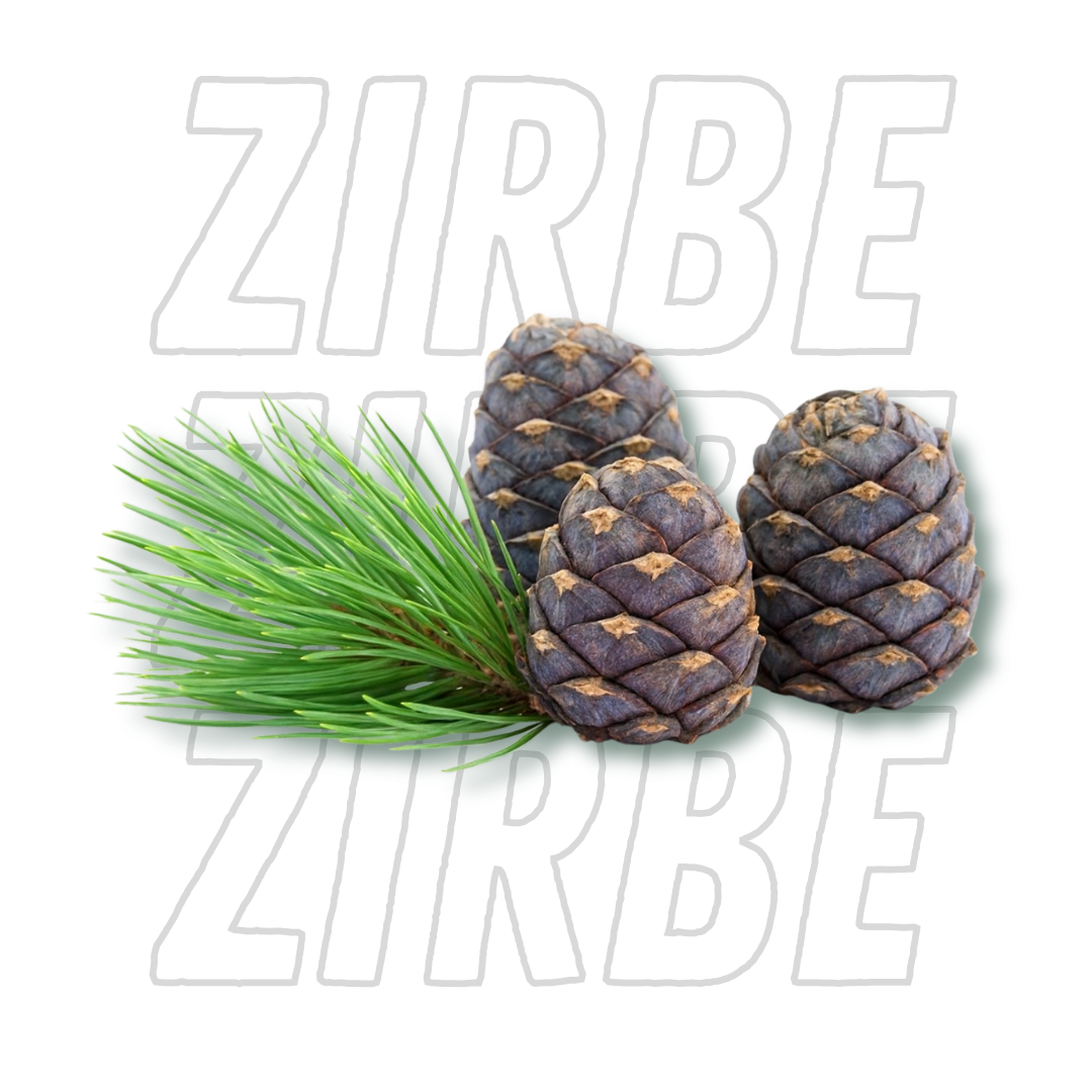 ZIRBE – Erfrischungsgetränke mit natürlichem Zirbengeschmack – ZIRBE Shop